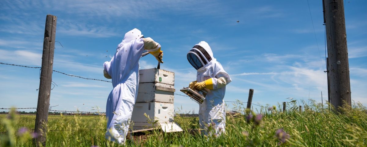 2021 Pollination Nation – ICE Network Fargo