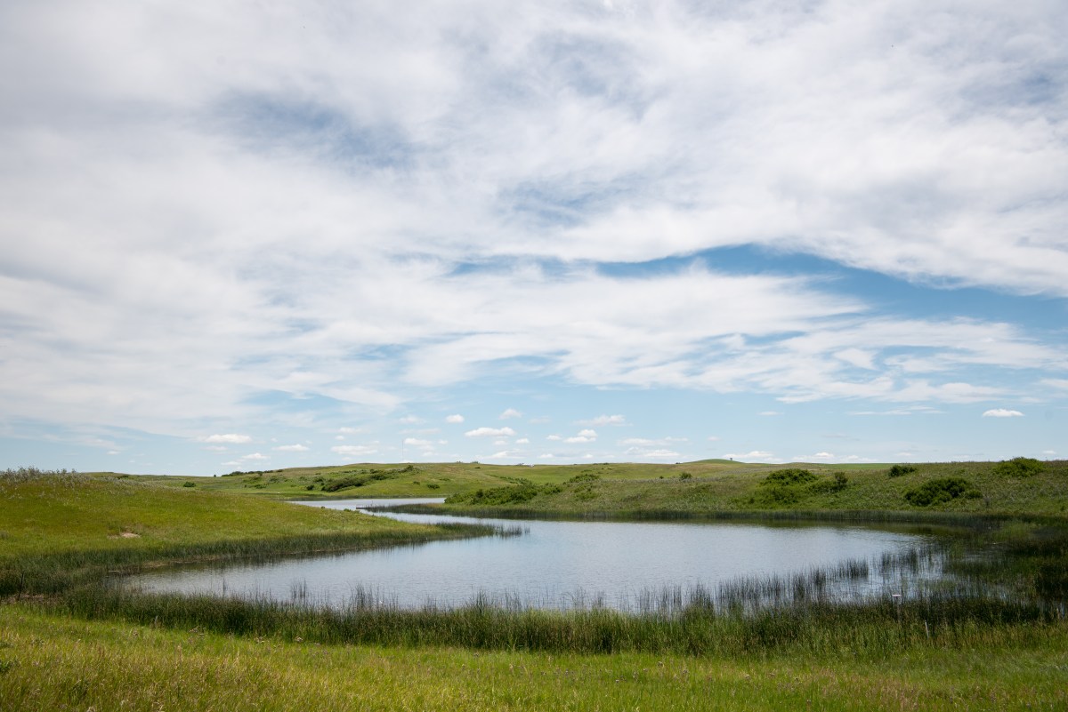 Effects of developmental state on low-temperature physiology of the alfalfa leafcutting bee ...